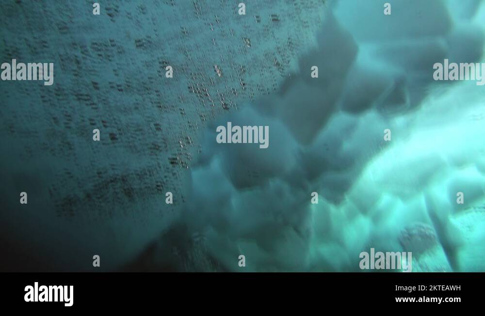 Divers explore the underwater world of the Arctic Ocean at the North ...