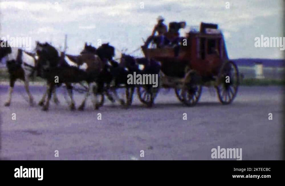 Cowboy driver Stock Videos & Footage - HD and 4K Video Clips - Alamy