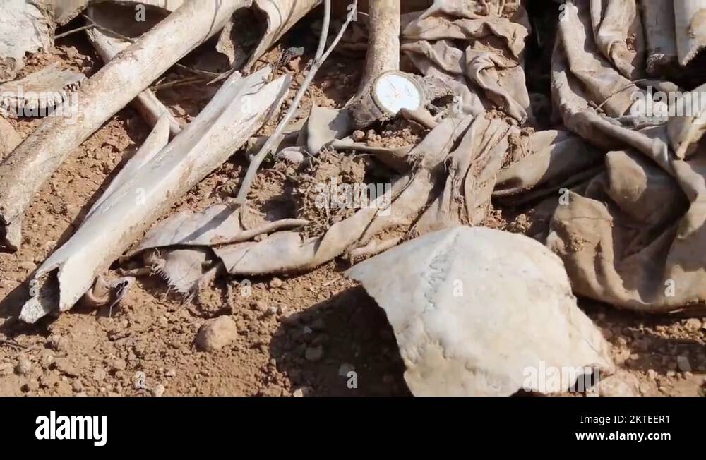 Right pan reveal of broken skull at a mass grave in Iraq Stock Video ...
