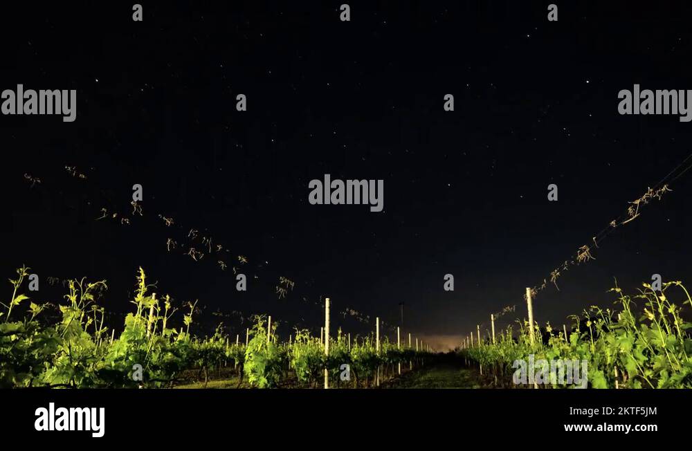 Circle vineyard Stock Videos & Footage - HD and 4K Video Clips - Alamy
