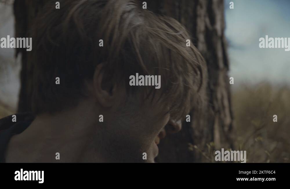 Man tree hiding Stock Videos & Footage - HD and 4K Video Clips - Alamy