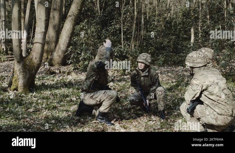 Female army exercise Stock Videos & Footage - HD and 4K Video Clips - Alamy
