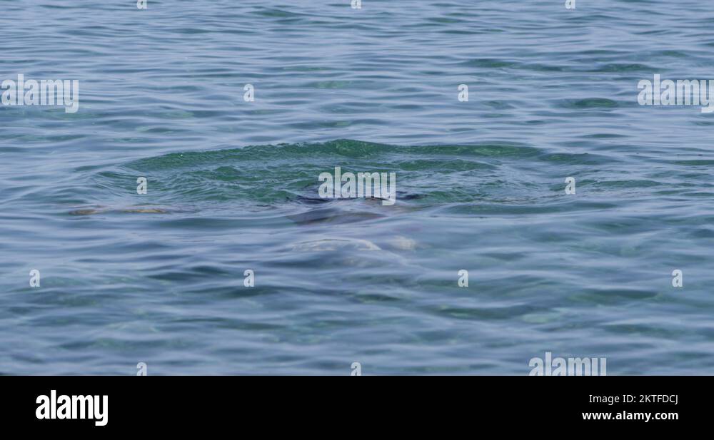 4K Beautiful woman emerging from the water at the beach Stock Video ...