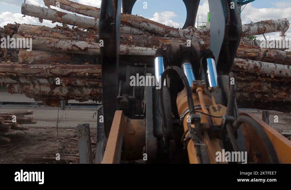 Log picker Stock Videos & Footage - HD and 4K Video Clips - Alamy