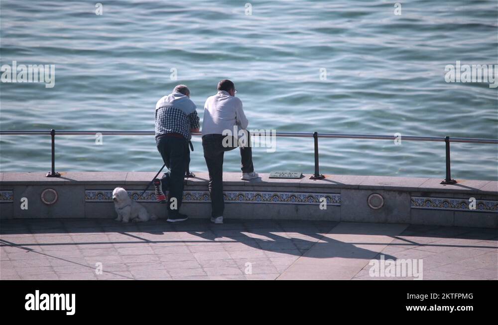 Two middle aged men talking beach Stock Videos & Footage - HD and 4K ...