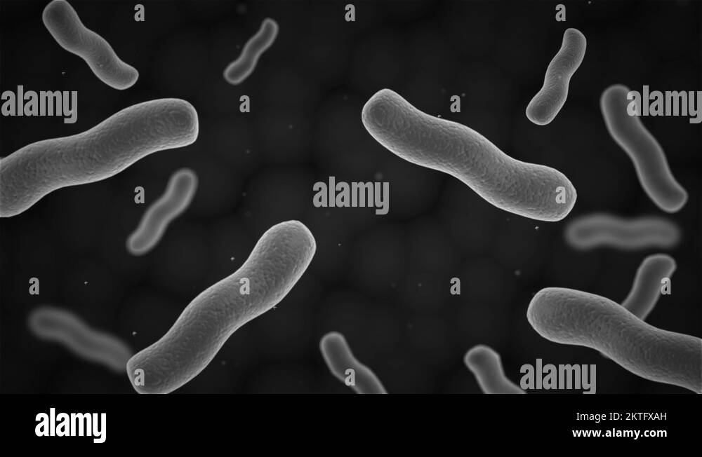 Microscopic pathogen bacteria Stock Videos & Footage - HD and 4K Video ...