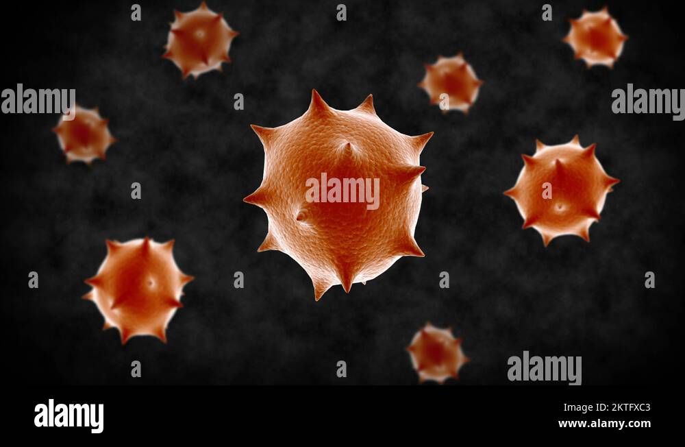 Allergic reaction to pollen Stock Videos & Footage - HD and 4K Video ...