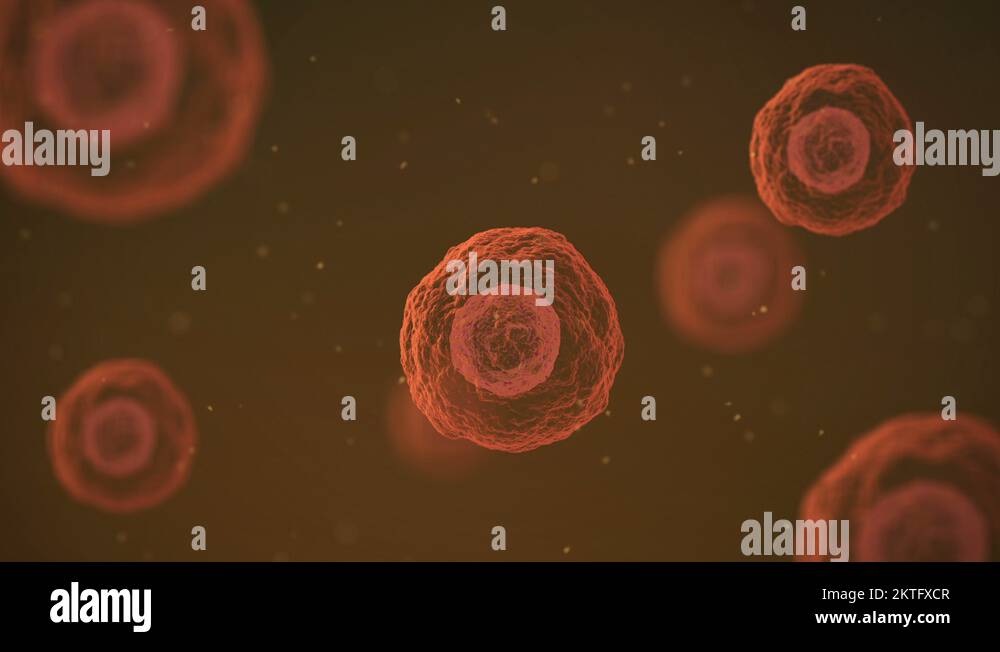 Plasma cells Stock Videos & Footage - HD and 4K Video Clips - Alamy