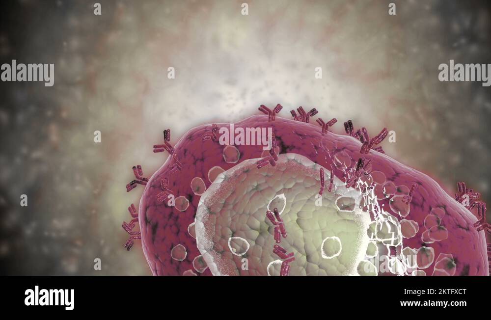 Mast cell histology Stock Videos & Footage - HD and 4K Video Clips - Alamy