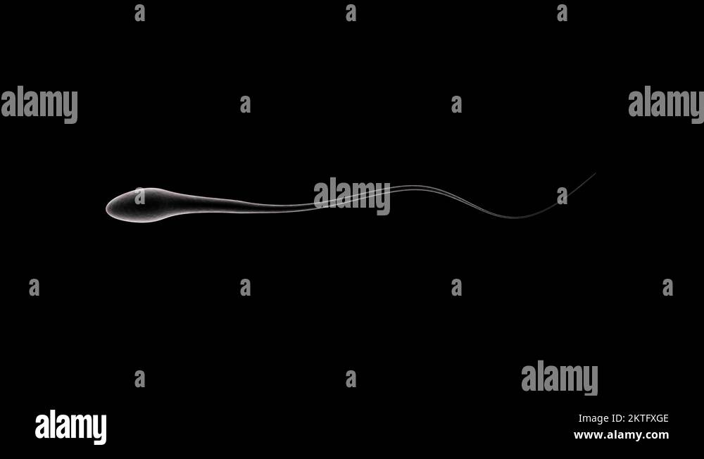Cell anatomy Stock Videos & Footage - HD and 4K Video Clips - Alamy