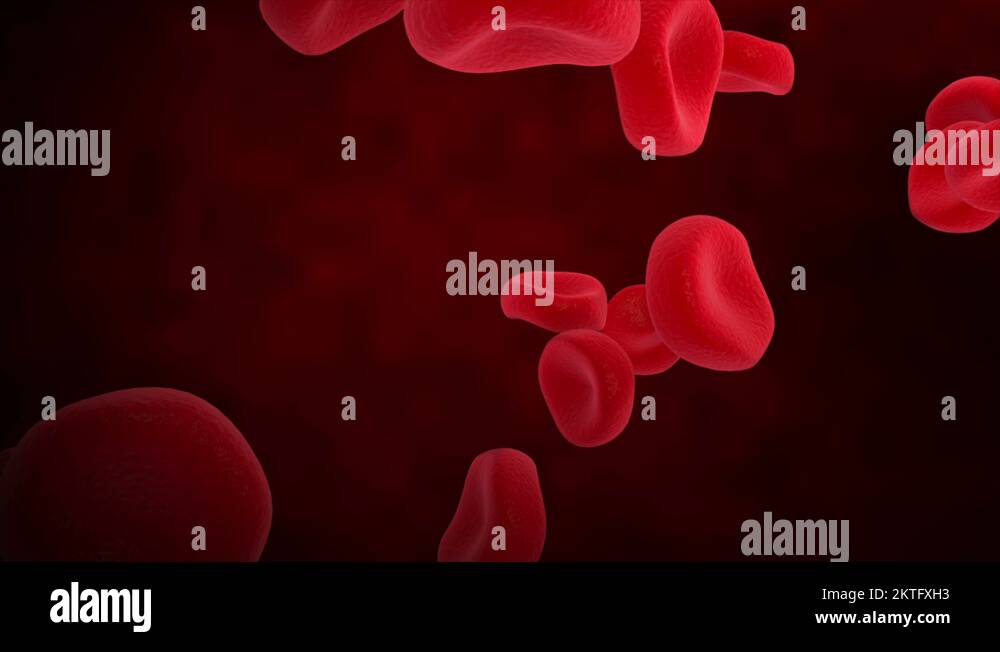 Microscopic visualization of red blood cells Stock Video Footage - Alamy