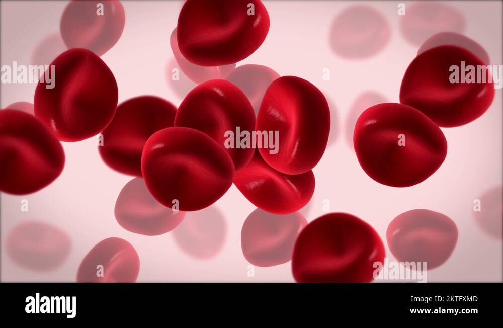 Red blood cell cytoplasm Stock Videos & Footage - HD and 4K Video Clips ...