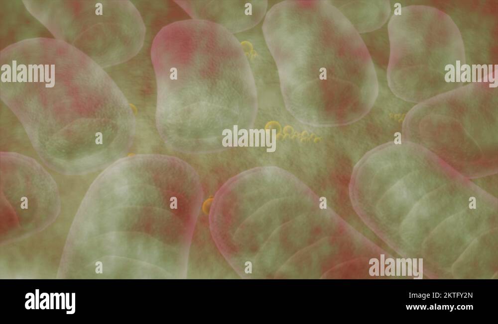 Structure bacteria Stock Videos & Footage - HD and 4K Video Clips - Alamy