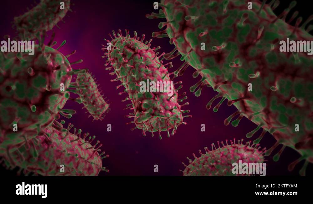 Rabies virus Stock Videos & Footage - HD and 4K Video Clips - Alamy