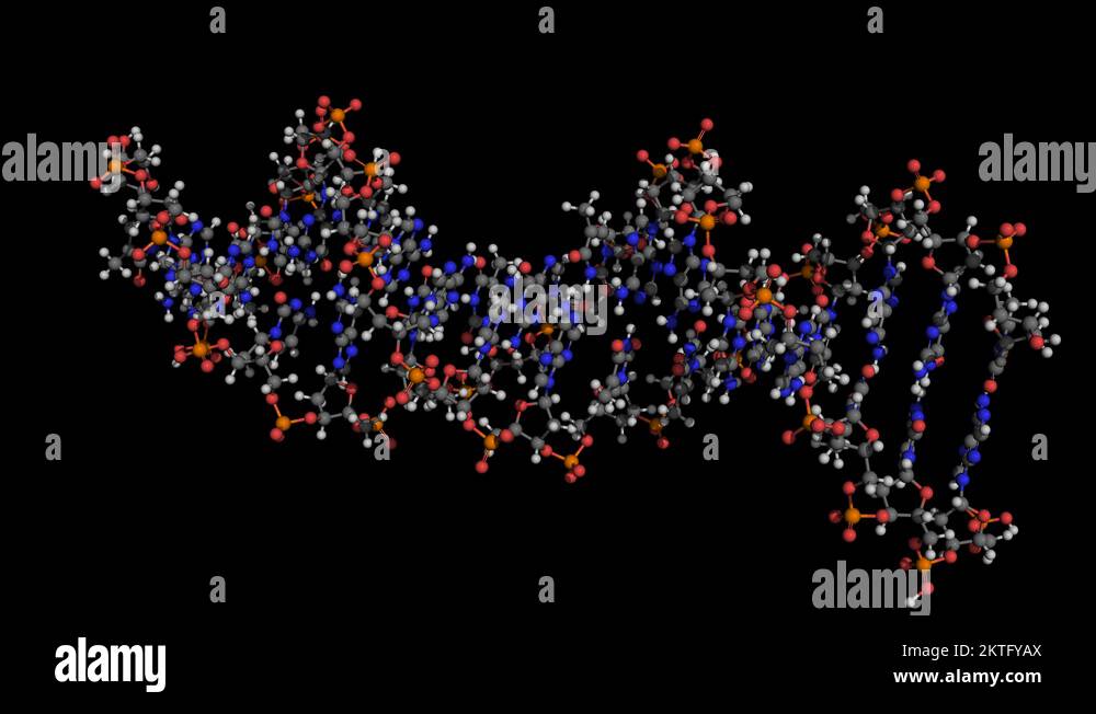 dna molecule ball and stick model rotating about x axis seamless ...