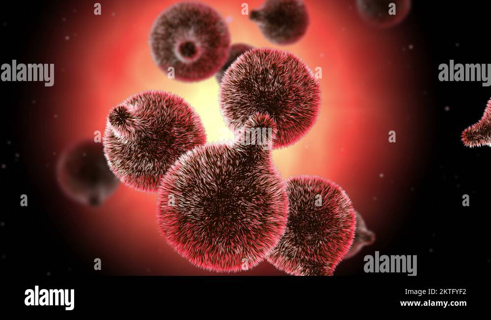 Malaria parasite plasmodium Stock Videos & Footage - HD and 4K Video ...