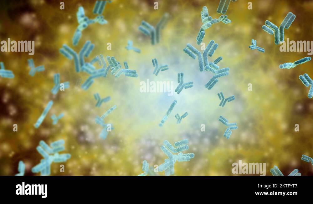 Microscopic visualization of human antibodies Stock Video Footage - Alamy