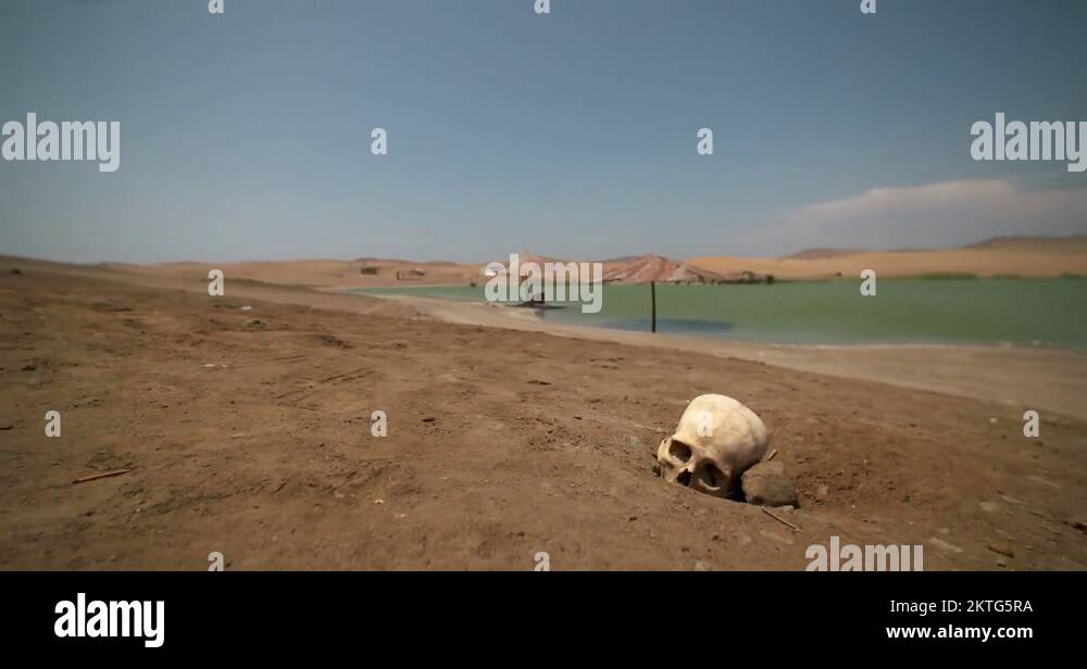 Skull in the sand Stock Videos & Footage - HD and 4K Video Clips - Alamy