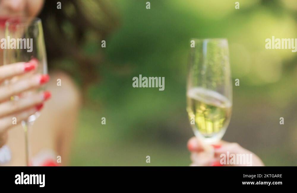 Cheering glasses Stock Videos & Footage - HD and 4K Video Clips - Alamy