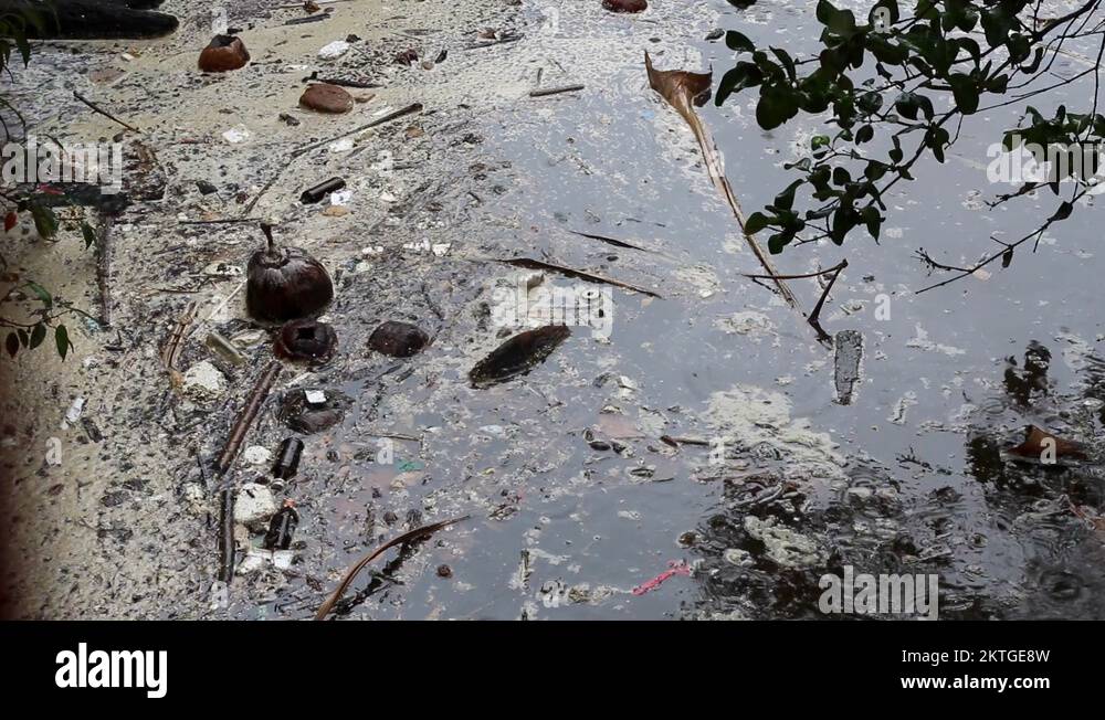 Water pollution in big Stock Videos & Footage - HD and 4K Video Clips ...
