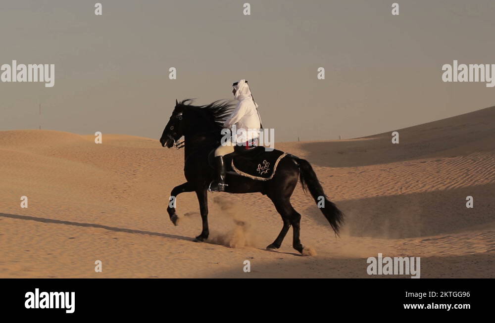 Rider on arabian horse in Stock Videos & Footage - HD and 4K Video ...
