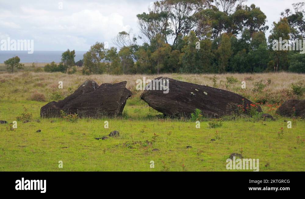 Broken Moai statue laying on the ground Stock Video Footage - Alamy