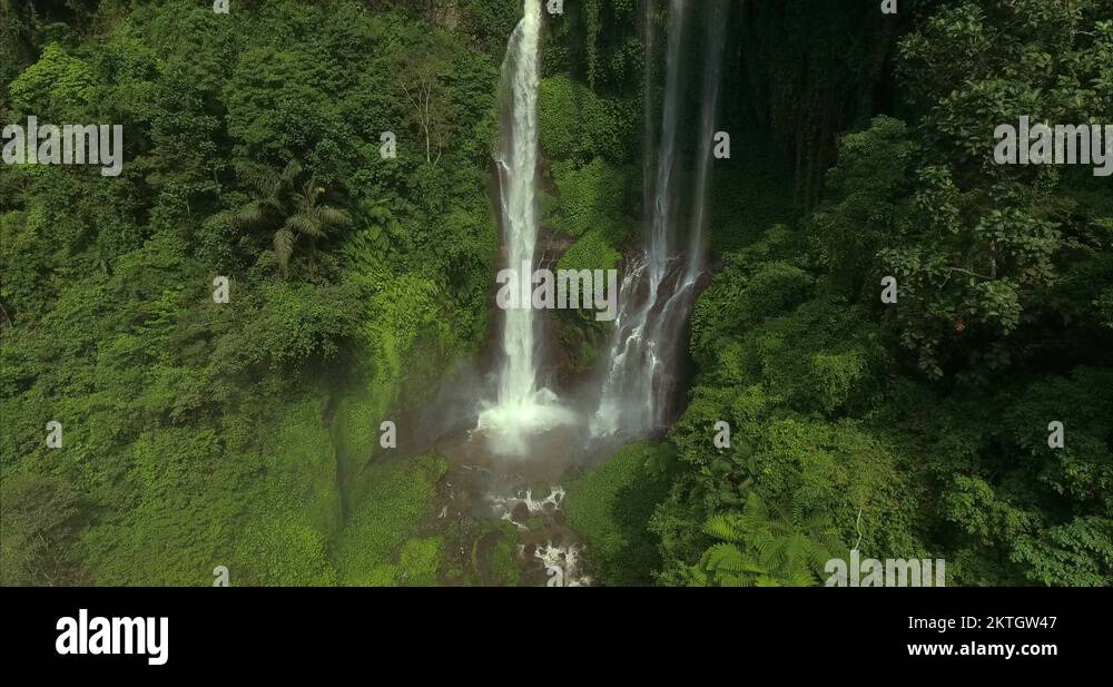 Wet Jungle Stock Videos And Footage Hd And 4k Video Clips Alamy
