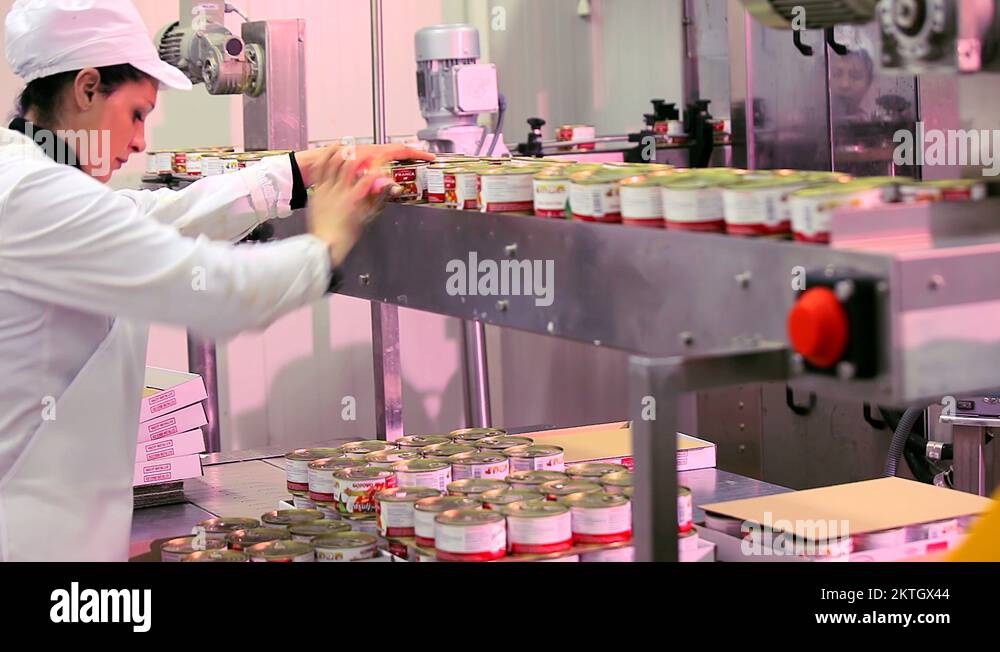 Women workers sorting and packing cans in the food packaging factory ...