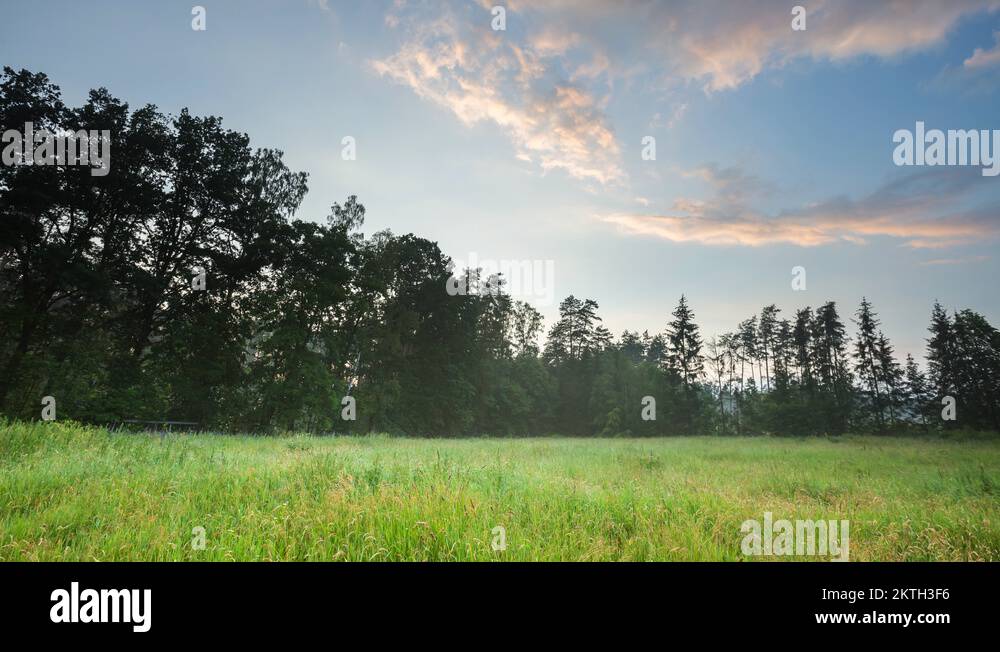 Summer evening meadow Stock Videos & Footage - HD and 4K Video Clips ...