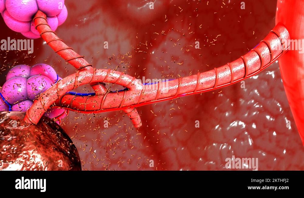 Tuberculosis bacteria organism Stock Videos & Footage - HD and 4K Video Clips - Alamy