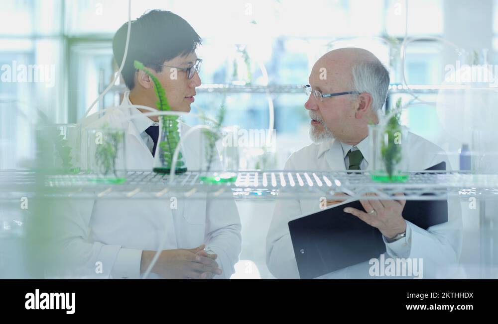 Lab findings Stock Videos & Footage - HD and 4K Video Clips - Alamy