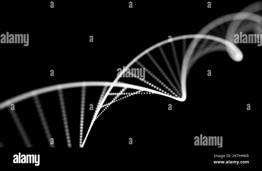 DNA double helix animation loop with depth black Stock Video Footage ...