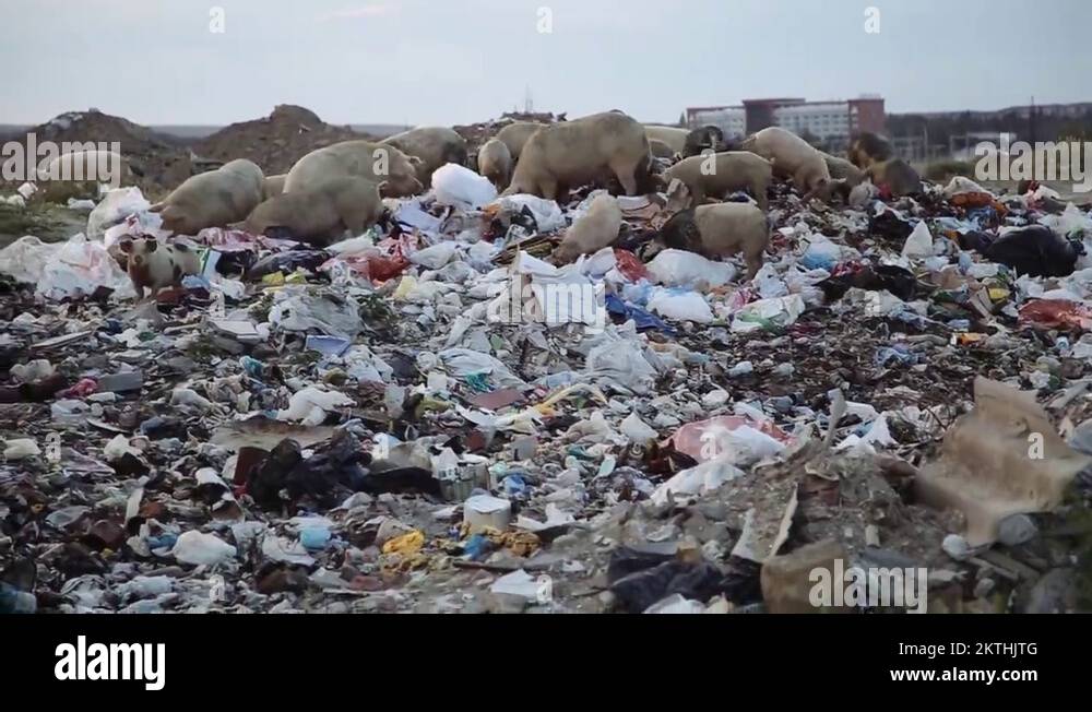 Garbage heap isolated pile rubbish Stock Videos & Footage - HD and 4K ...
