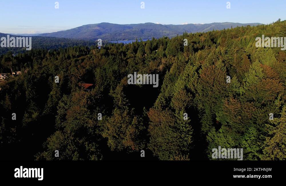 Bellingham washington nature Stock Videos & Footage - HD and 4K Video ...