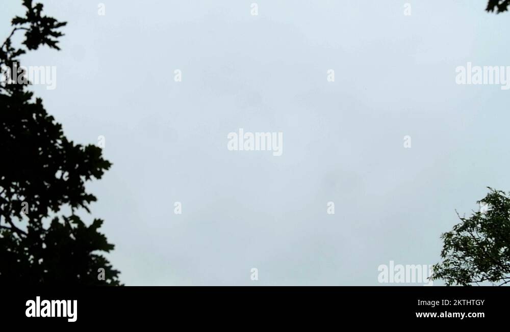 Clay pigeon target Stock Videos & Footage - HD and 4K Video Clips - Alamy