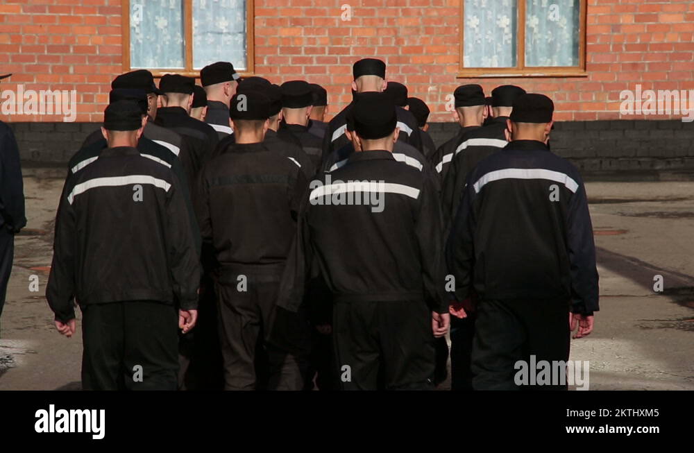 Inspection ranks Stock Videos & Footage - HD and 4K Video Clips - Alamy