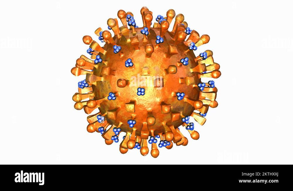H5n1 virus Stock Videos & Footage - HD and 4K Video Clips - Alamy