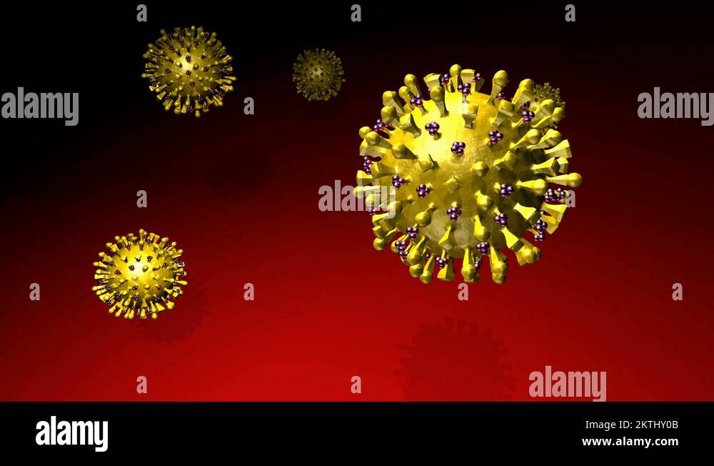 H5n1 bird Stock Videos & Footage - HD and 4K Video Clips - Alamy