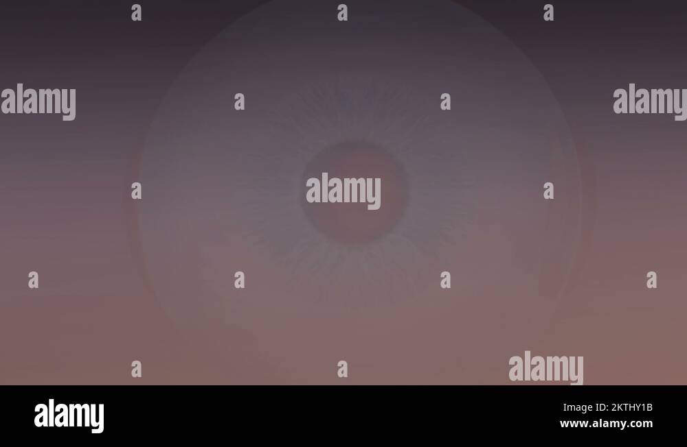 Structure of retina Stock Videos & Footage - HD and 4K Video Clips - Alamy