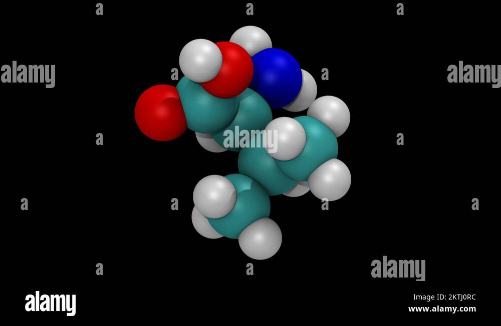 Rotating molecular model of the amino acid valine Stock Video Footage ...
