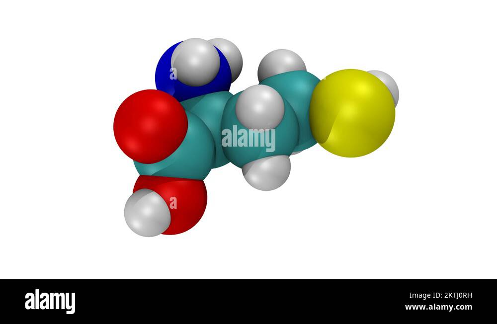 Rotating molecular model of the amino acid homocysteine Stock Video ...