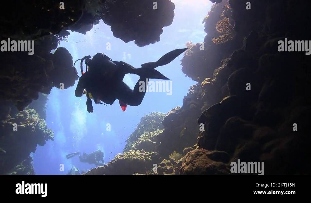 Red sea caves and diving Stock Videos & Footage - HD and 4K Video Clips ...