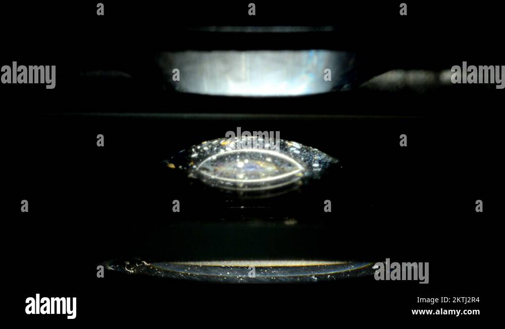 Water drop under microscope Stock Videos & Footage - HD and 4K Video ...