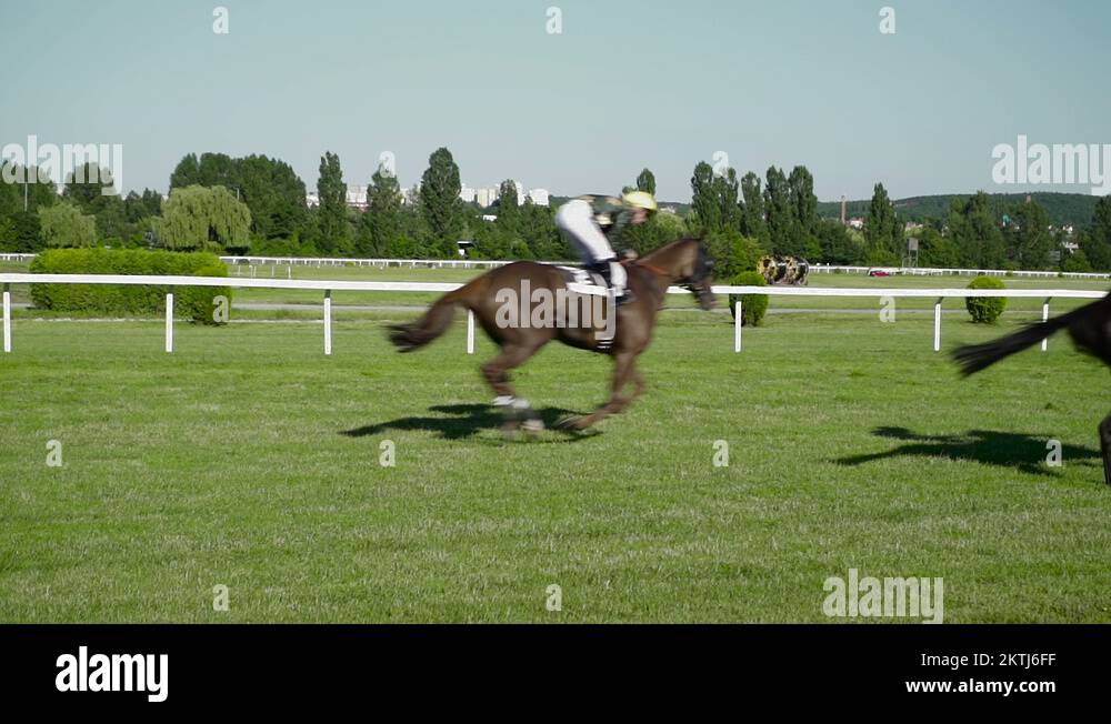 Running horses on a racetrack Stock Videos & Footage - HD and 4K Video ...
