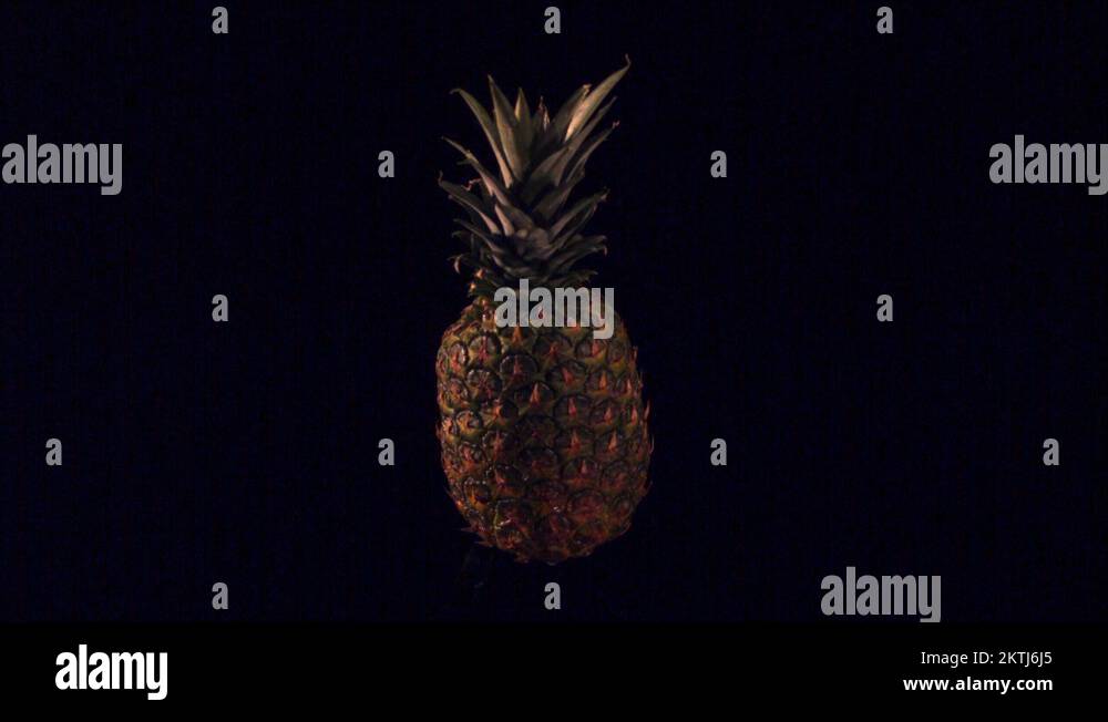 Exploding fruit Stock Videos & Footage - HD and 4K Video Clips - Alamy