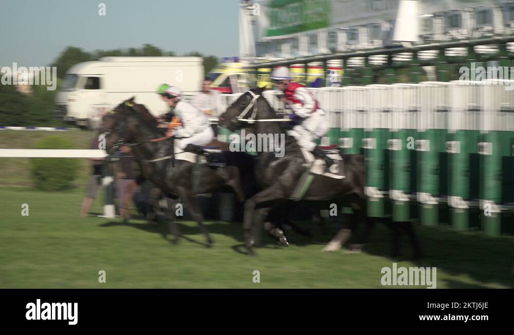 Horse race starting gates Stock Videos & Footage - HD and 4K Video ...