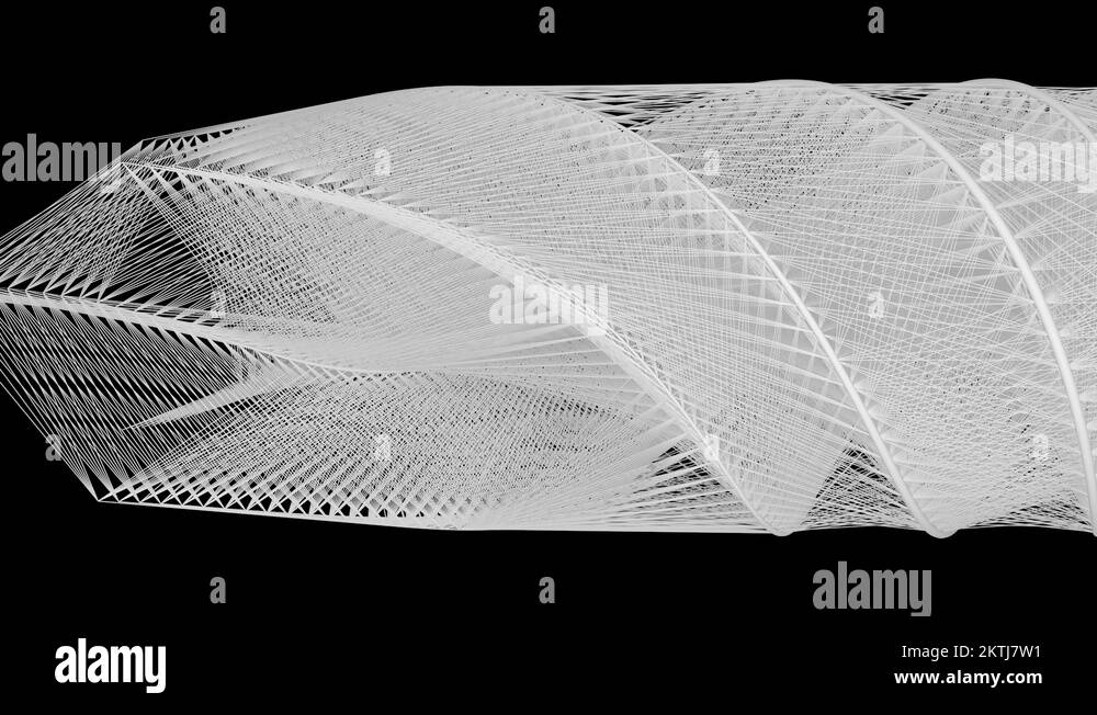 complex structure of flowing white lines - on black background (FULL HD ...
