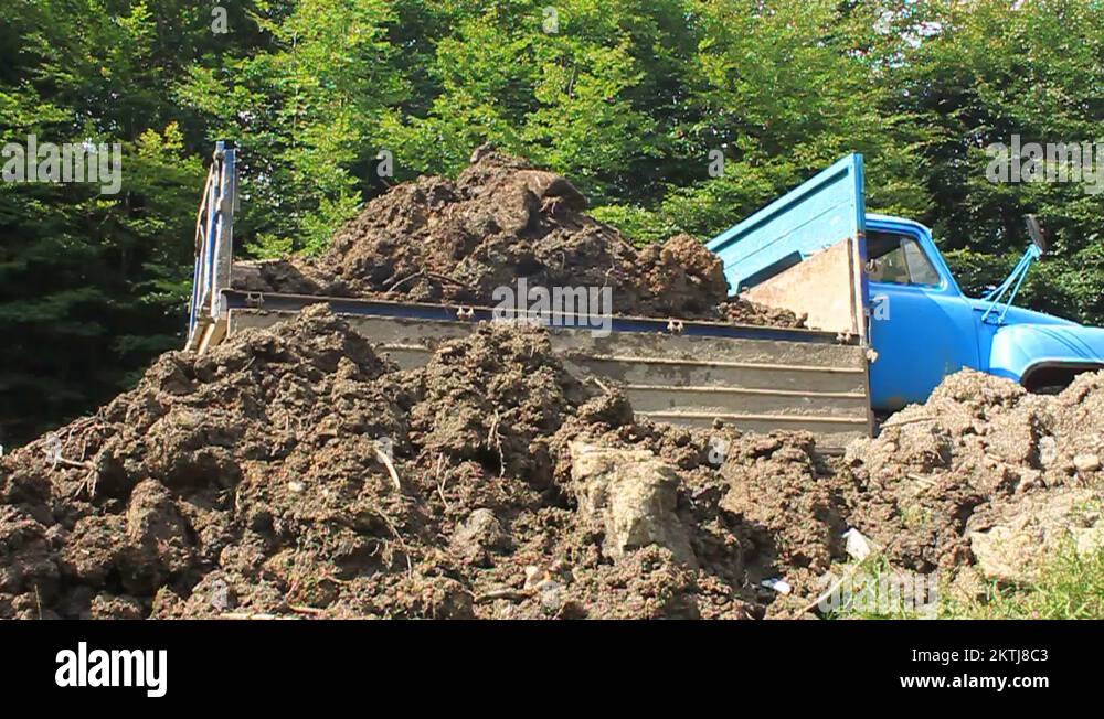 Carload Stock Videos & Footage - HD and 4K Video Clips - Alamy