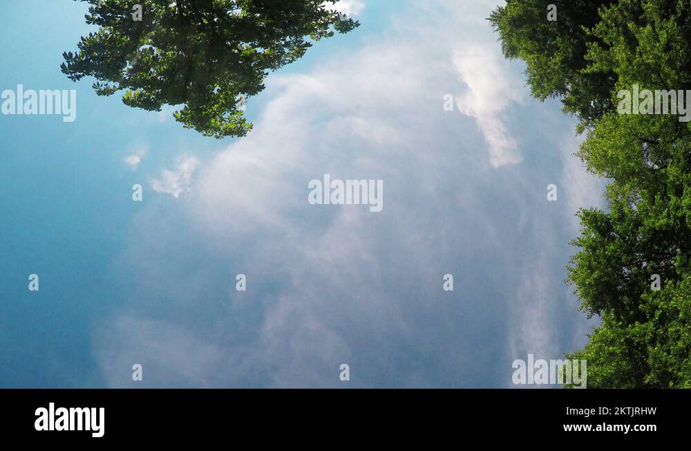 Car in tree Stock Videos & Footage - HD and 4K Video Clips - Alamy