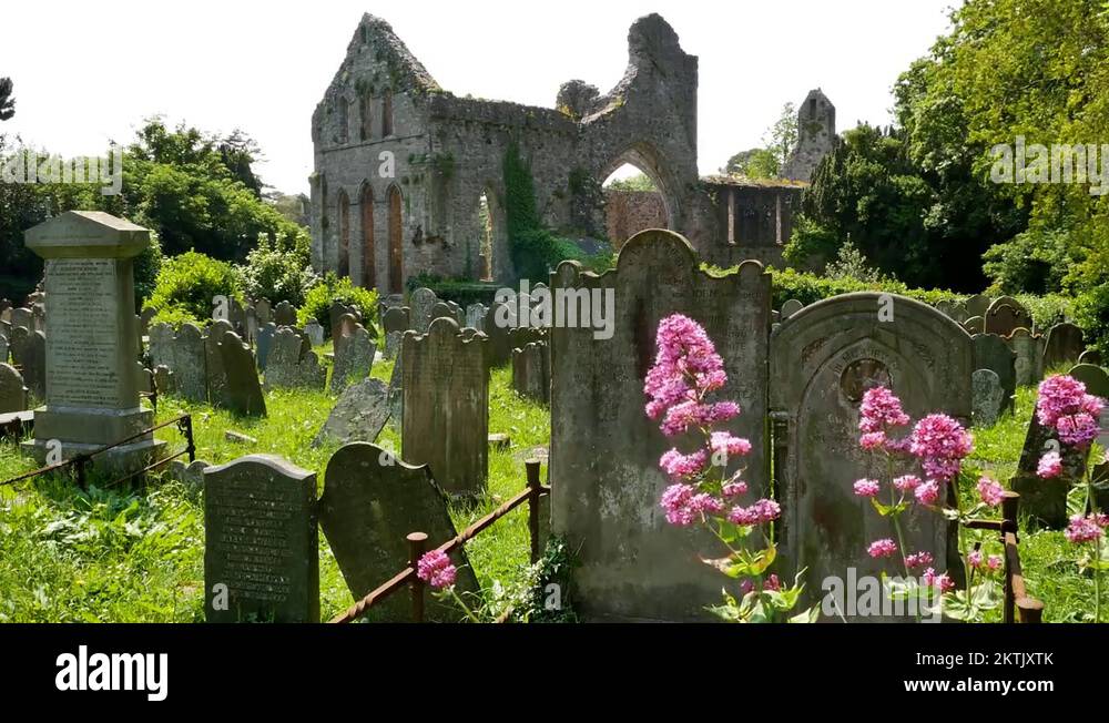 Greyabbey abbey Stock Videos & Footage - HD and 4K Video Clips - Alamy